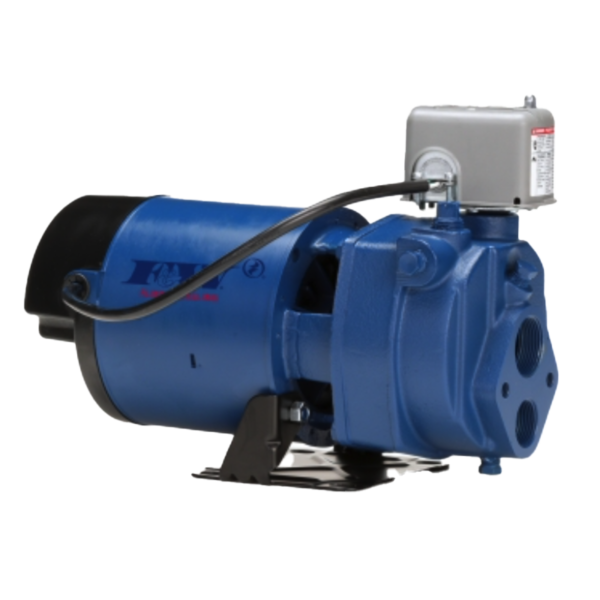 Convertible Jet Pumps - Mitchell Lewis & Staver