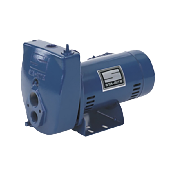 Convertible Jet Pumps - Mitchell Lewis & Staver